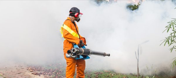 Benefits Of Synthetic Pest Control Green Earth Exterminators