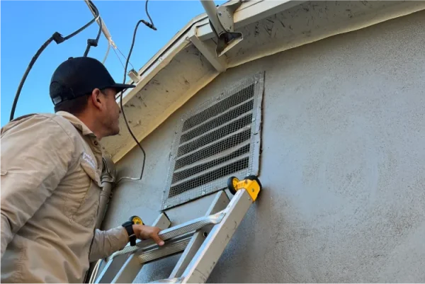 Pest Control Green Earth Exterminators